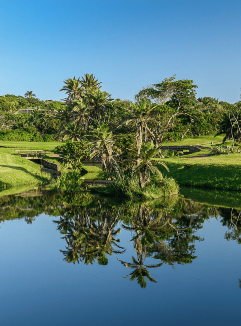 Golf Course - Southbroom Golf Club